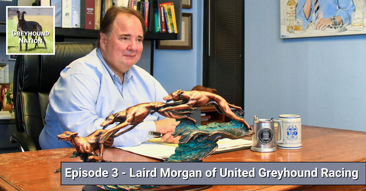 Interview with Laird Morgan of United Greyhound Racing | Greyhound Nation