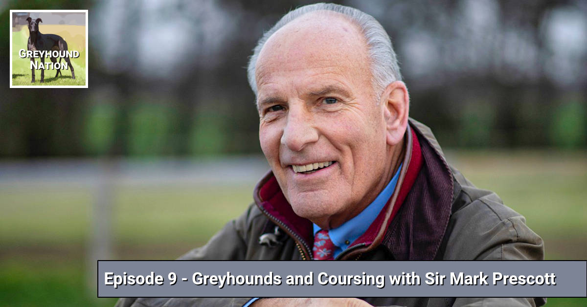 Greyhounds and Coursing with Sir Mark Prescott | Greyhound Nation